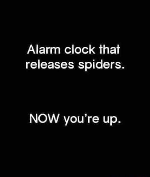 Alarm clock that releases spiders. NOW you're up. - iFunny