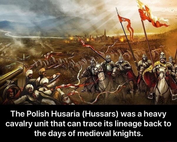 The Polish Husaria (Hussars) was a heavy cavalry unit that can trace ...