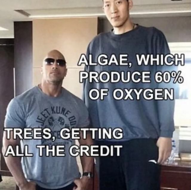 ALGAF. PRODUCE 60" OF OXYGEN jPREES., GETTING ALL THE CREDIT ON - iFunny