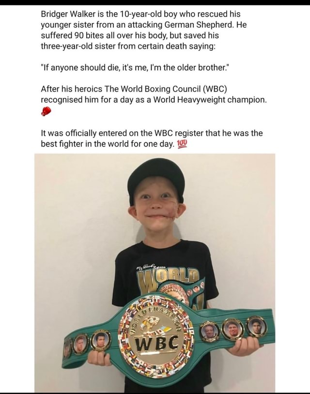 Bridger Walker is the 10-year-old boy who rescued his younger sister ...