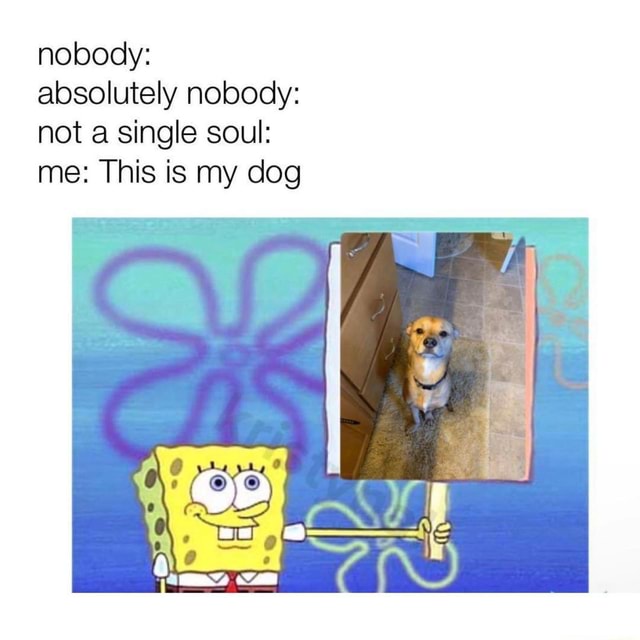 Nobody: absolutely nobody: not a single soul: me: This is my dog - iFunny