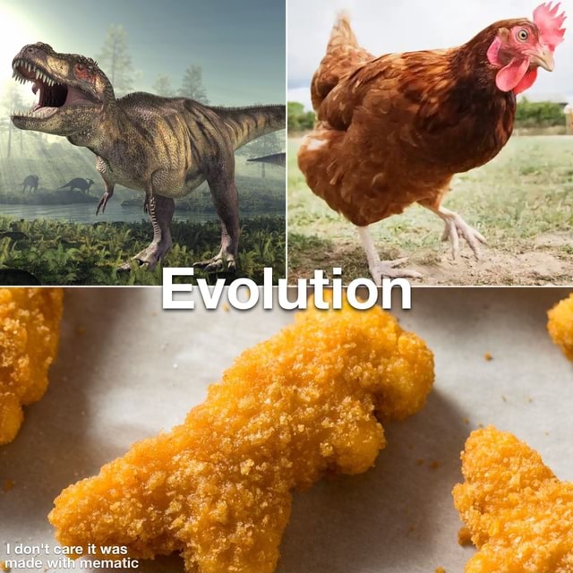 Evolution don't made care with rr ty was made with rr - iFunny