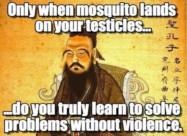 -Yoda - Only when mosquito lands on your testicles... you truly learn ...