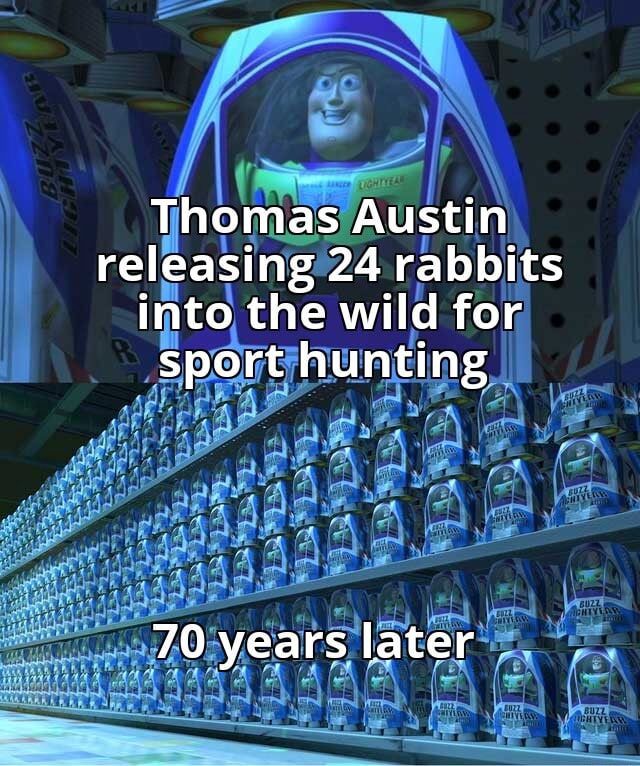Hey Mr Austin how its going - Thomas Austin releasing 24 rabbits into ...