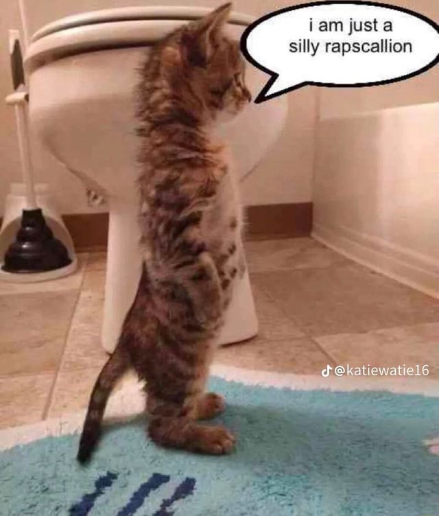 Iam justa silly rapscallion - iFunny