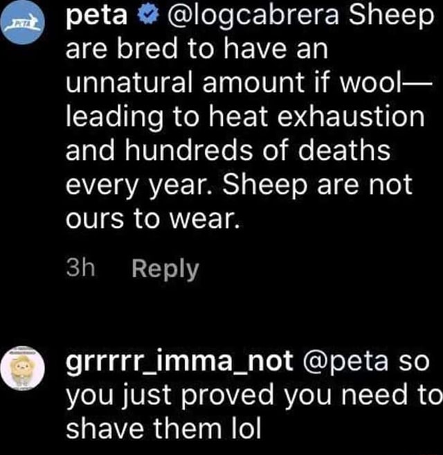 Peta @logcabrera Sheep are bred to have an unnatural amount if wool ...