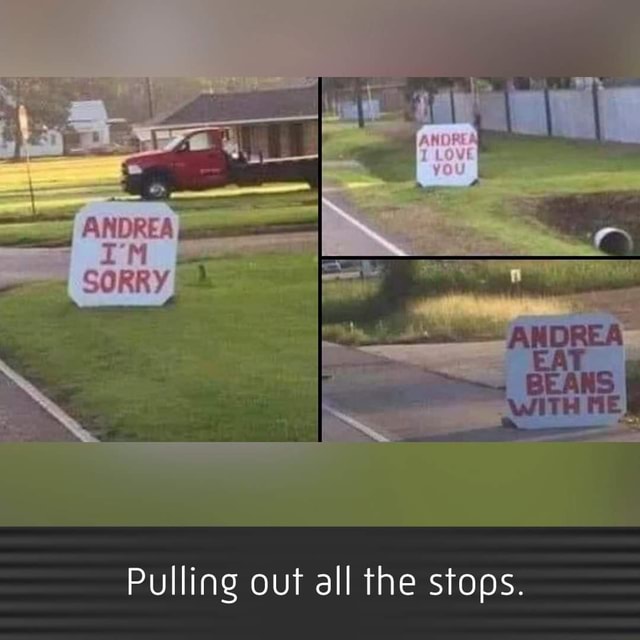 Pulling out all the stops. - iFunny