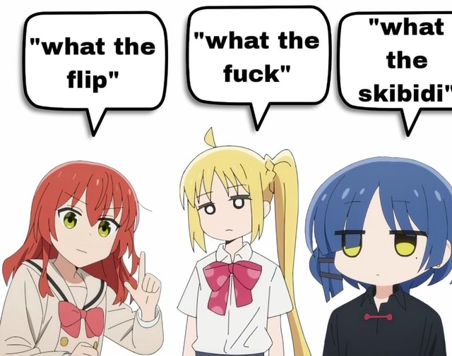 "what the skibidi' "what the I ["what the flip" fuck" - iFunny