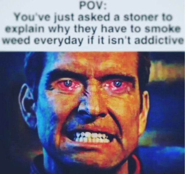 POV You ve just asked a stoner to explain why they have to smoke weed ...