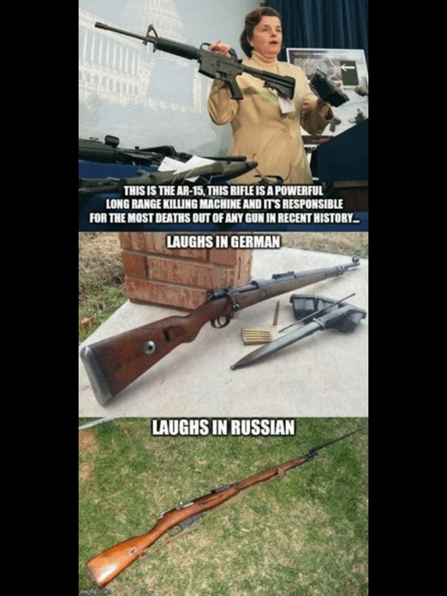 THIS IS THE AR-15, THIS RIFLE IS A POWERFUL LONG RANGE KILLING MACHINE ...