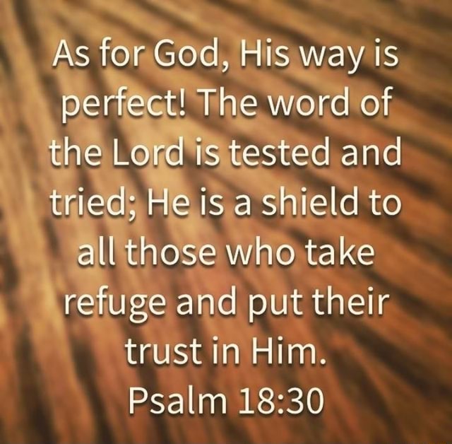 As for God, His way is perfect! The word of the Lord is tested and ...