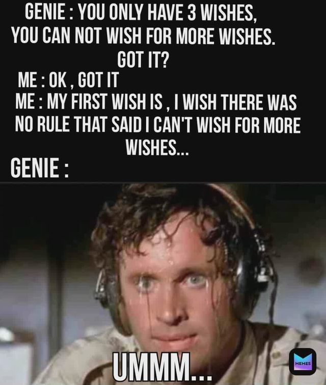 GENIE : YOU ONLY HAVE 3 WISHES, YOU CAN NOT WISH FOR MORE WISHES. GOT ...