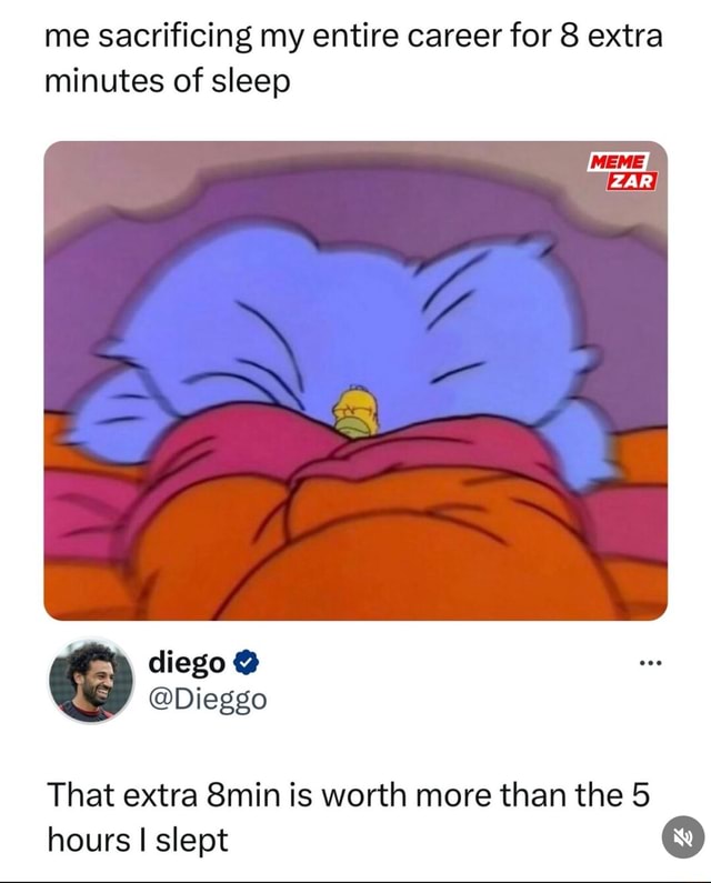 Me sacrificing my entire career for 8 extra minutes of sleep That extra ...