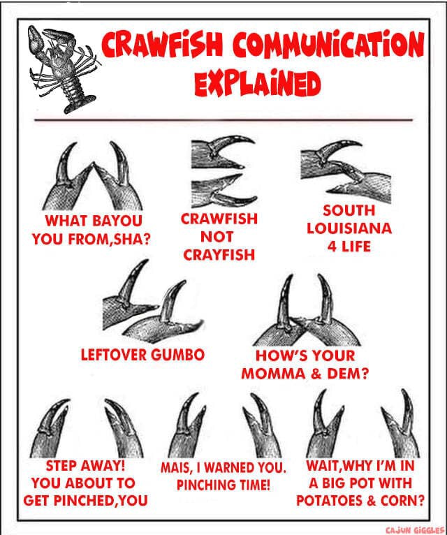 CRAWFISH COMMUNICATION EXPLAINED WHAT BAYOU CRAWFISH YOU FROM, NOT ...
