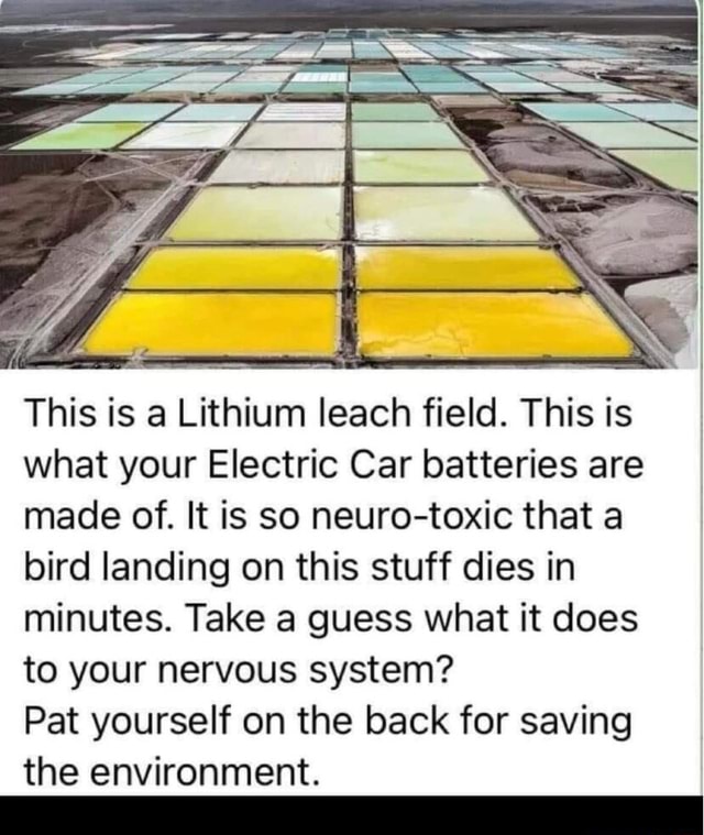 I I This is a Lithium leach field. This is what your Electric Car ...