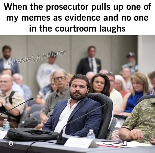 When the prosecutor pulls up one of my memes as evidence and no one in ...