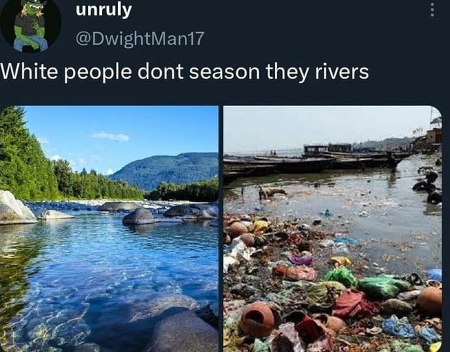 Unruly @DwightMan17 White people dont season they rivers - iFunny