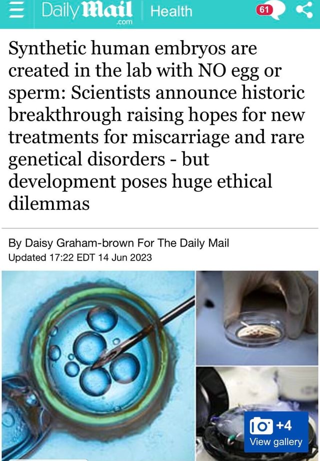 Daily Health Synthetic human embryos are created in the lab with NO egg ...