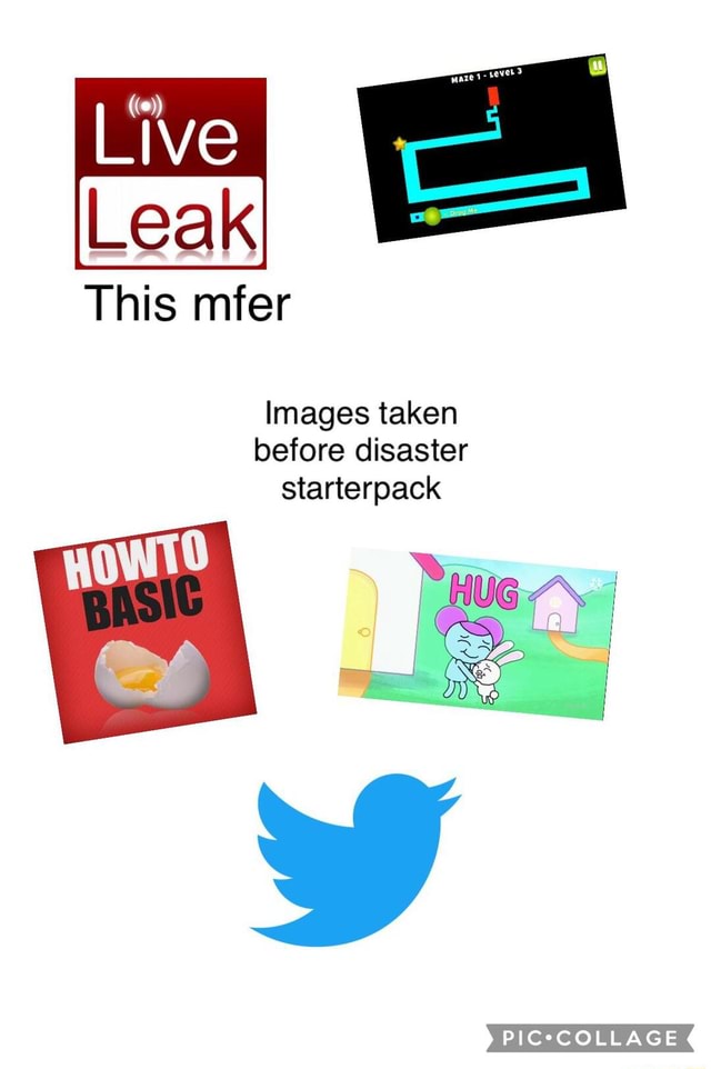 This mfer Images taken before disaster starterpack PIC*COLLAGE HOWT ...