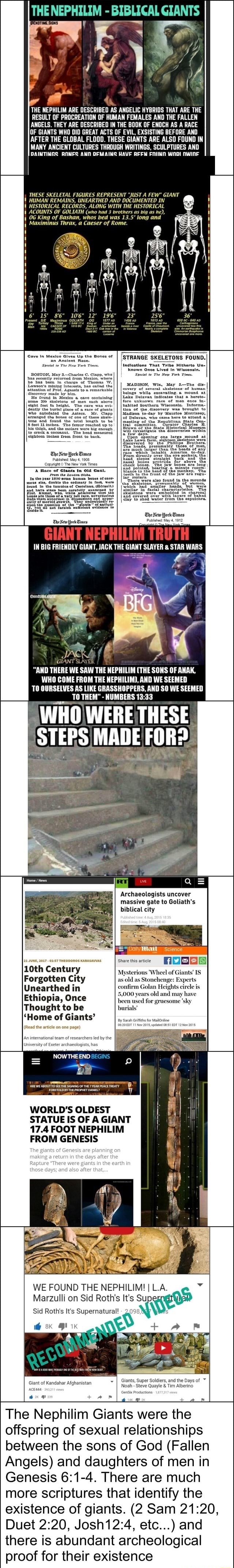 THE NEPHILIM BIBLICAL GIANTS THE NEPHILIM ARE DESCRIBED AS ANGELIC ...