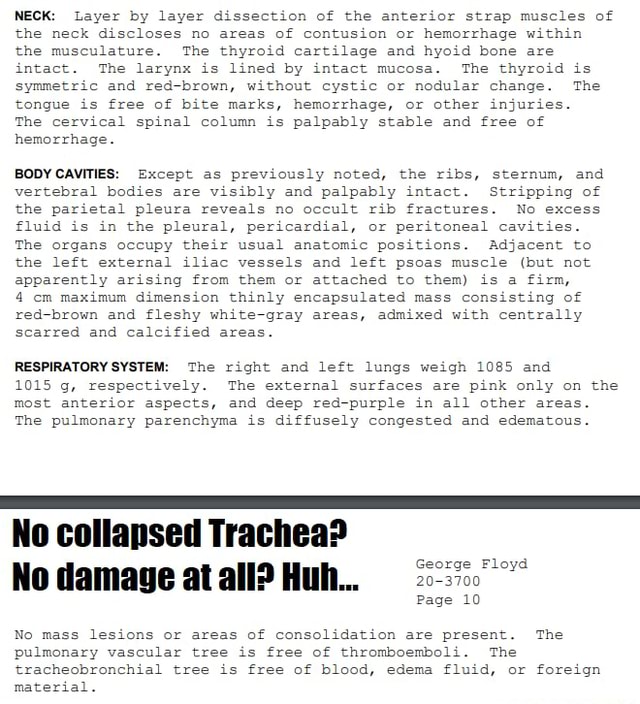 NECK: Layer by layer dissection of the anterior strap muscles of the ...