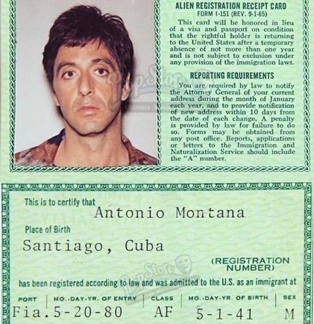 ALIEN REGISTRATION RECEIPT CARD This card will be honored in lieu of a ...