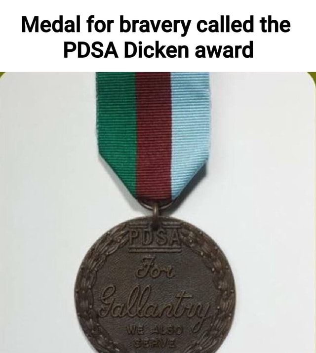 Medal for bravery called the PDSA Dicken award - America’s best pics ...