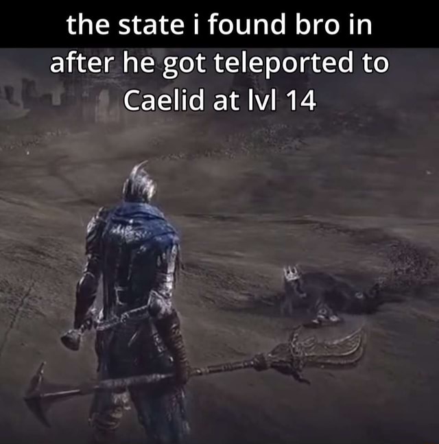 The state i found bro in after he got teleported to Caelid at Ivl 14 ...