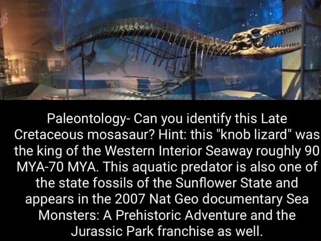 VA I Paleontology- Can you identify this Late Cretaceous mosasaur? Hint ...