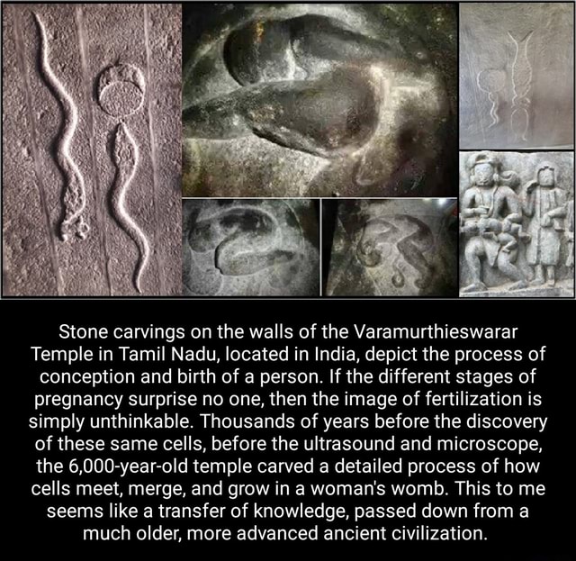 Stone carvings on the walls of the Varamurthieswarar Temple in Tamil ...