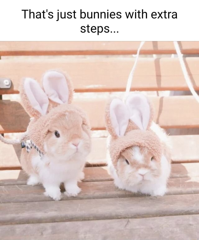 That's just bunnies with extra steps... - iFunny
