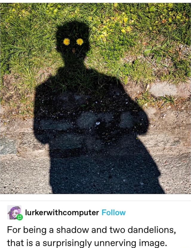 Lurkerwithcompucer Follow For being a shadow and two dandelions, that ...