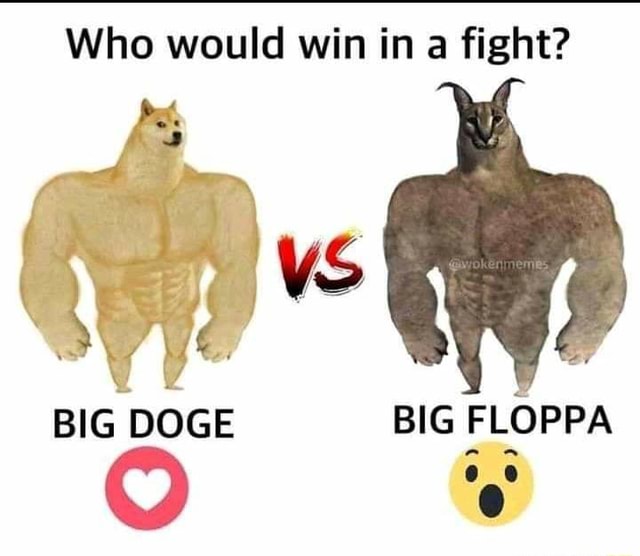 Who would win in fight? vS BIG FLOPPA BIG DOGE - iFunny