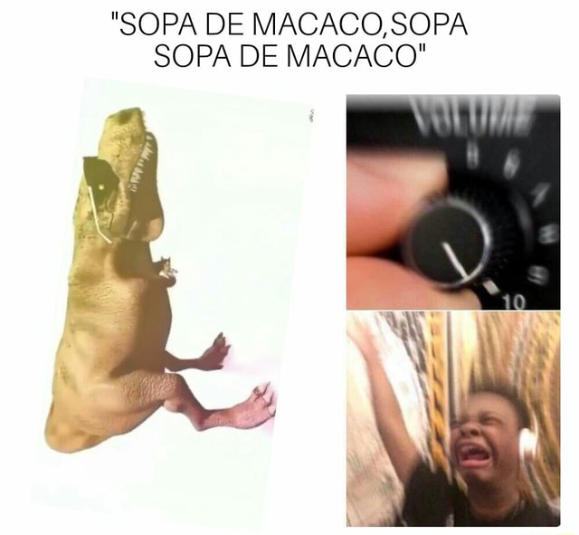 "SOPA DE MACACO,SOPA SOPA DE MACACO" - iFunny Brazil