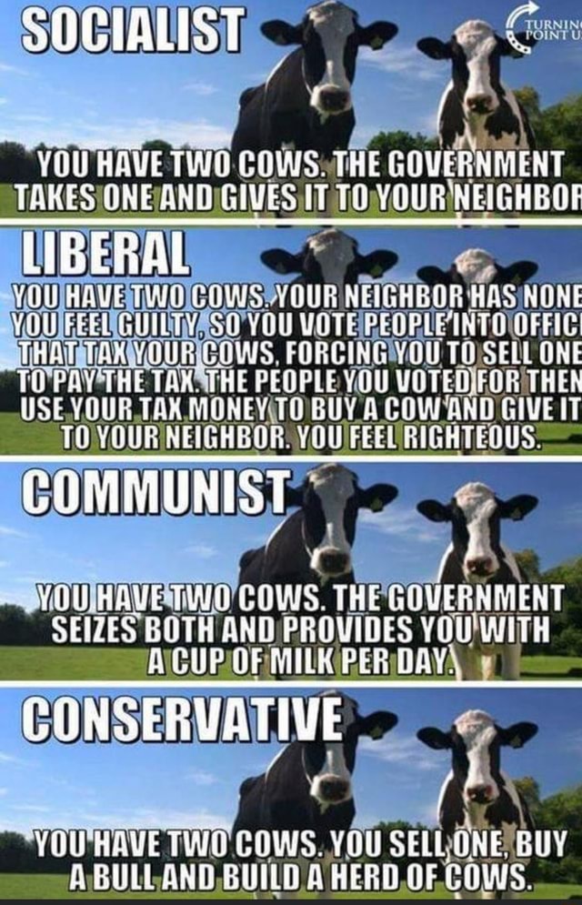 SUGIALIST NTU YOU HAVE TWO COWS: THE GOVERNIENT TARES ONE: AND GIVES IT ...