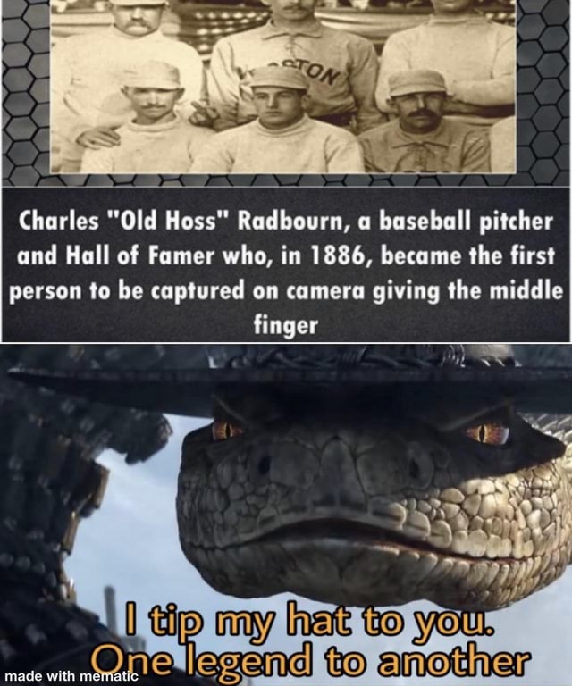 Charles "Old Hoss" Radbourn, a baseball pitcher and Hall of Famer who ...