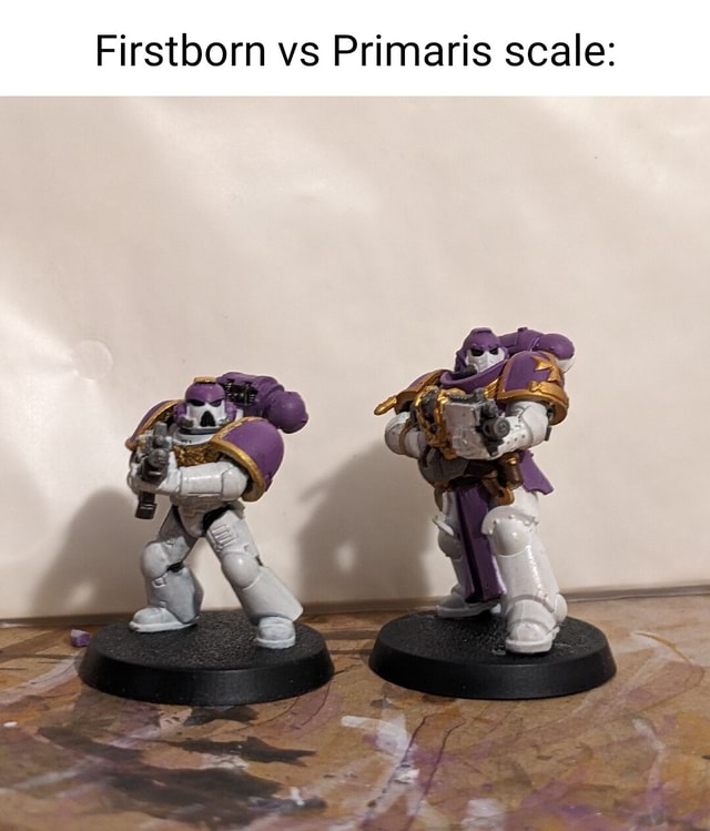 Firstborn vs Primaris scale: - iFunny