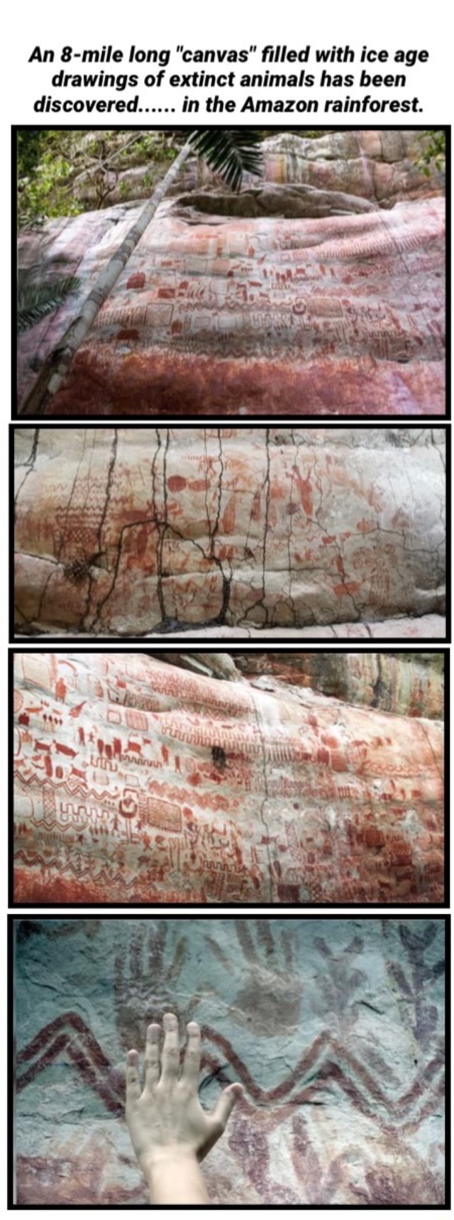 An 8-mile long "canvas" filled with ice age drawings of extinct animals ...