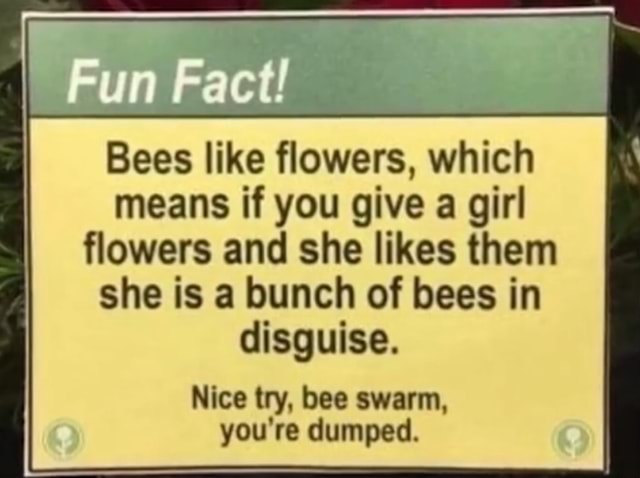 Bees like flowers, which means if you give a girl flowers and she likes ...