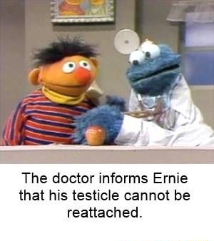 The doctor informs Ernie that his testicle cannot be reattached. - iFunny