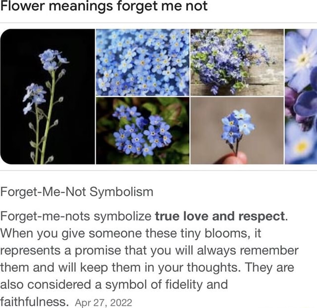 Flower meanings forget me not Forget-Me-Not Symbolism Forget-me-nots ...