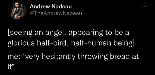 Andrew Nadeau [seeing an angel, appearing to be a glorious half-bird ...