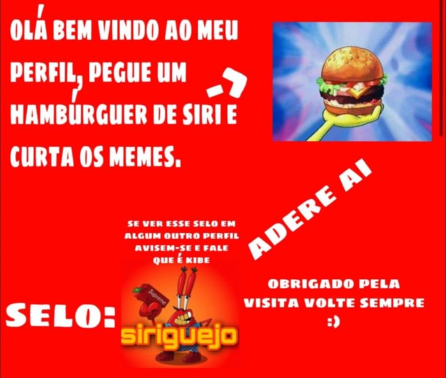 OLA BEM VINDO AO MEU PERFIL, PEGUE UM HAMBURGUER DE SIRI E CURTA OS ...