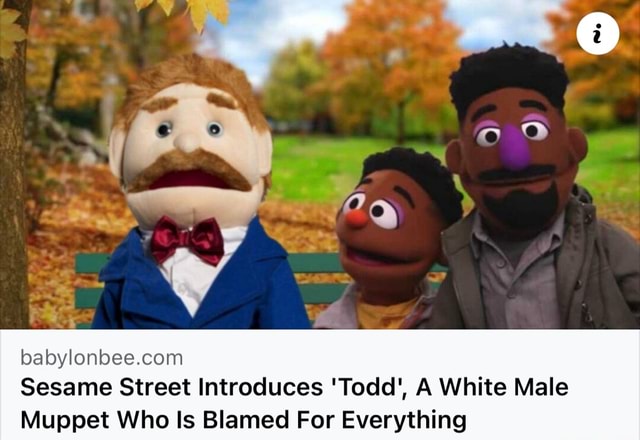 Sesame Street Introduces 'Todd', A White Male Muppet Who Is Blamed For ...