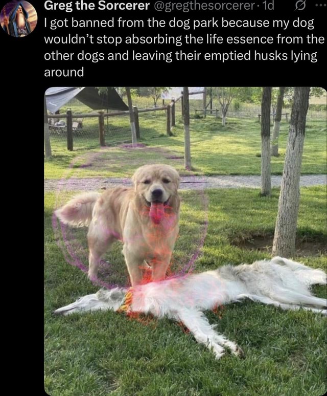 Greg the Sorcerer @gregtnesorcerer- I got banned from the dog park ...