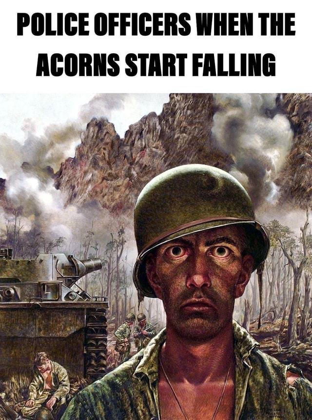 POLICE OFFICERS WHEN THE ACORNS START FALLING - iFunny