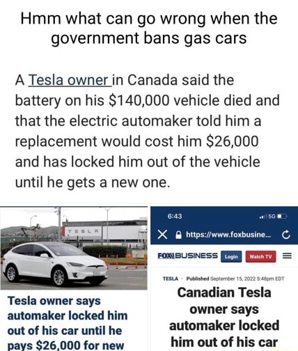 Hmm what can go wrong when the government bans gas cars A Tesla owner ...