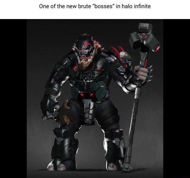 One of the new brute "bosses" in halo infinite - iFunny