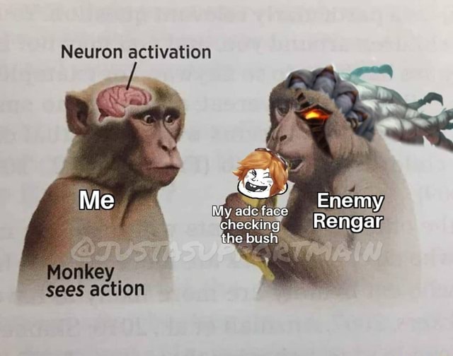 Neuron activation Me Monkey My adc face checking the bush Enemy Rengar ...
