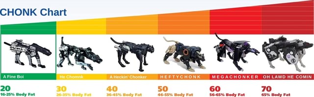 CHONK Chart AFine Boi HEFTYCHONK MEGACHONKER_ OH LAWD HE COMIN 20 50 60 ...